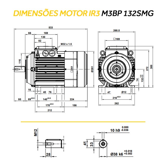Motor Elétrico Trifásico IR3 4 Polos - 15cv - M3BP 132SMG 4K | RH ...