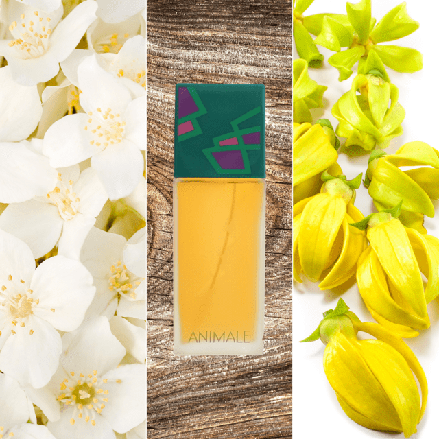 PERFUME FEMININO WOMAN ANIMALE EDT 100 ML | La Partier