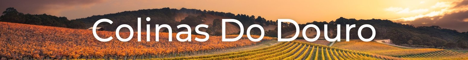 Colinas Do Douro | VidaVino