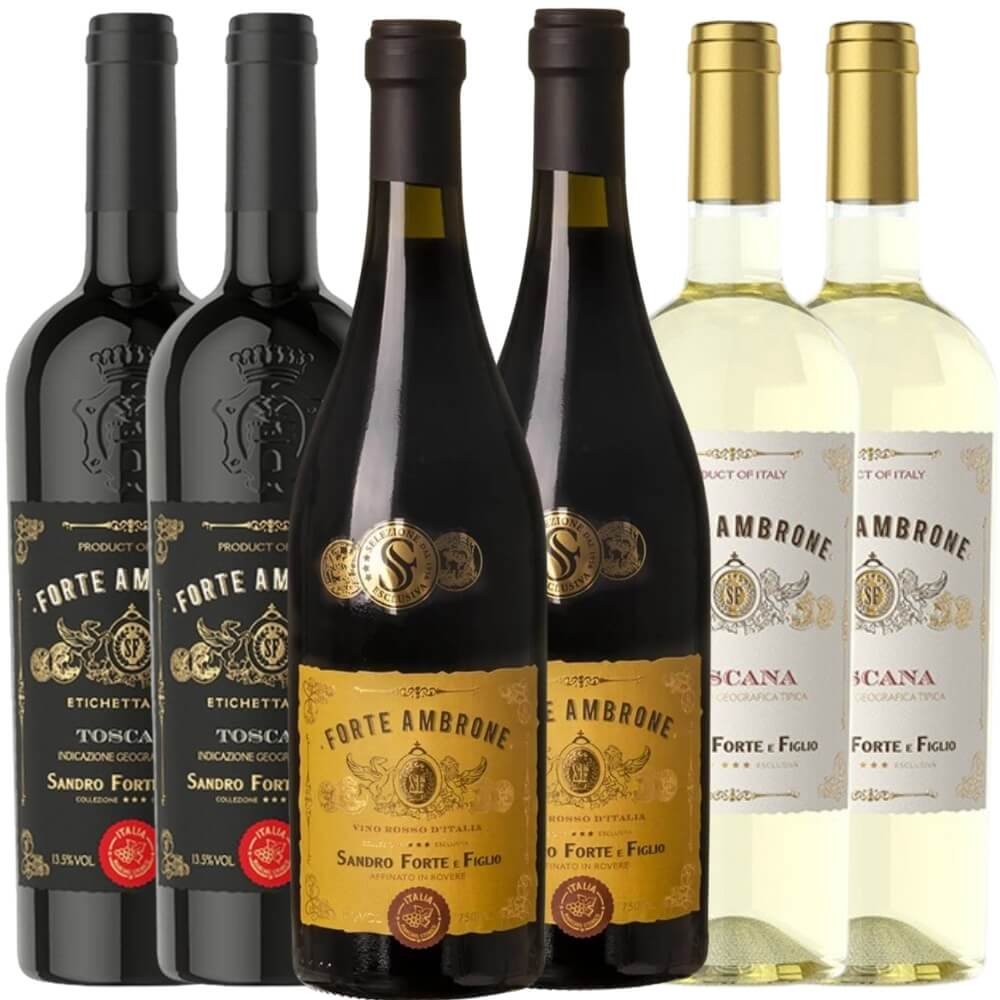 Combo Forte Ambrone Misto Cx 06 | VidaVino
