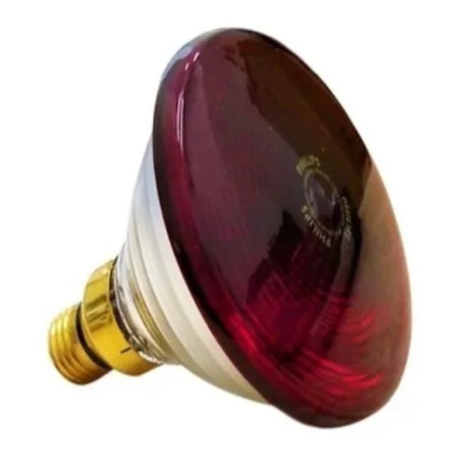 Lampada IFV (PAR-38).110V x 150W Infralight Ired | Espaço Saúde ...