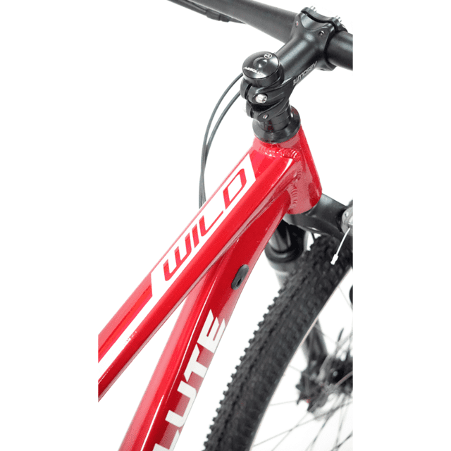 BICICLETA 29 ABSOLUTE WILD BOOST ELITE 12V C/ HIDRÁULICO | Pedalokos ...