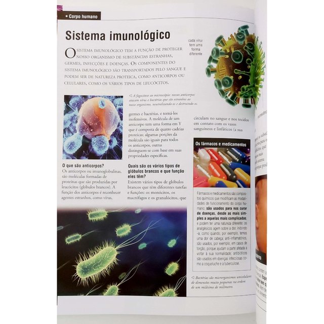 Livro Minha Primeira Enciclopédia Corpo Humano | TEM DE TUDO GUARULHOS Livro Minha Primeira Enciclopédia Corpo Humano | TEM DE TUDO GUARULHOS
