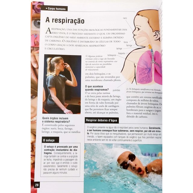 Livro Minha Primeira Enciclopédia Corpo Humano | TEM DE TUDO GUARULHOS Livro Minha Primeira Enciclopédia Corpo Humano | TEM DE TUDO GUARULHOS