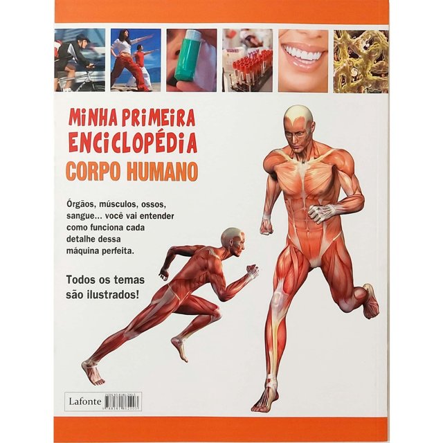Livro Minha Primeira Enciclopédia Corpo Humano | TEM DE TUDO GUARULHOS Livro Minha Primeira Enciclopédia Corpo Humano | TEM DE TUDO GUARULHOS