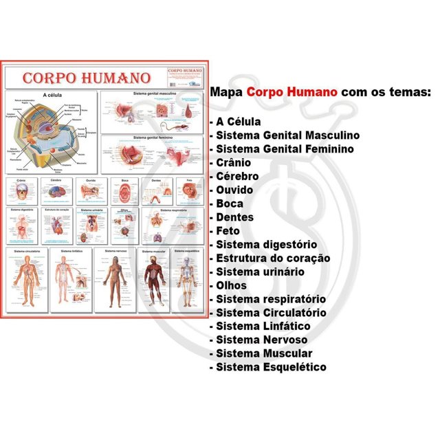 MAPA POSTER COMPLETO ANATOMIA DO CORPO HUMANO - TAMANHO GIGANTE 120 X ...