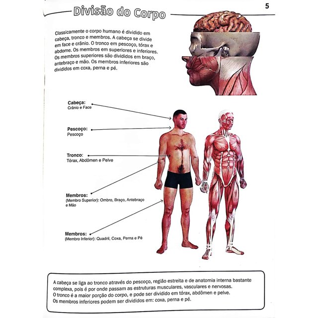 LIVRO ATLAS DO CORPO HUMANO COM ILUSTRAÇÕES 3D - COMPLETO | TEM DE TUDO ...