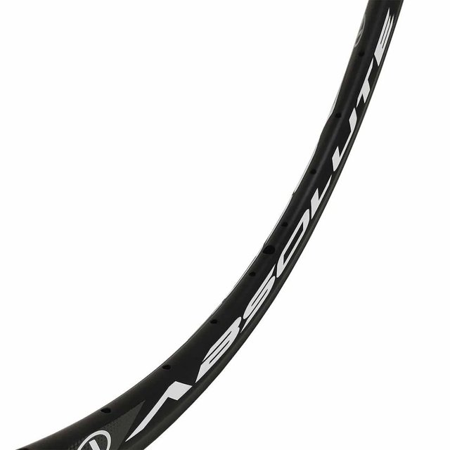 Aro Absolute Slide Disc 29er 32F Preto | Tech Team Bikes