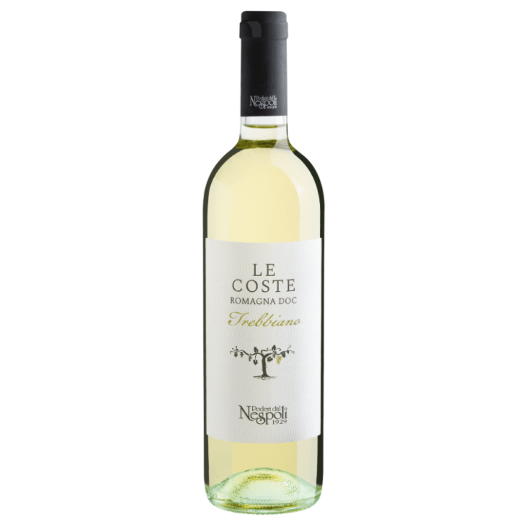 VINHO LE COSTE ROMANA 750 ML | Loja Tani