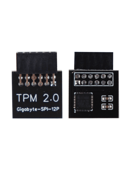 Módulo Tpm 2.0 Criptografia Segurança Spi 12 Pinos Gigabyte | Happy ...