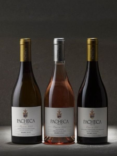 Pacheca Reserva Rosé | Quinta de Olivares - Garrafeira