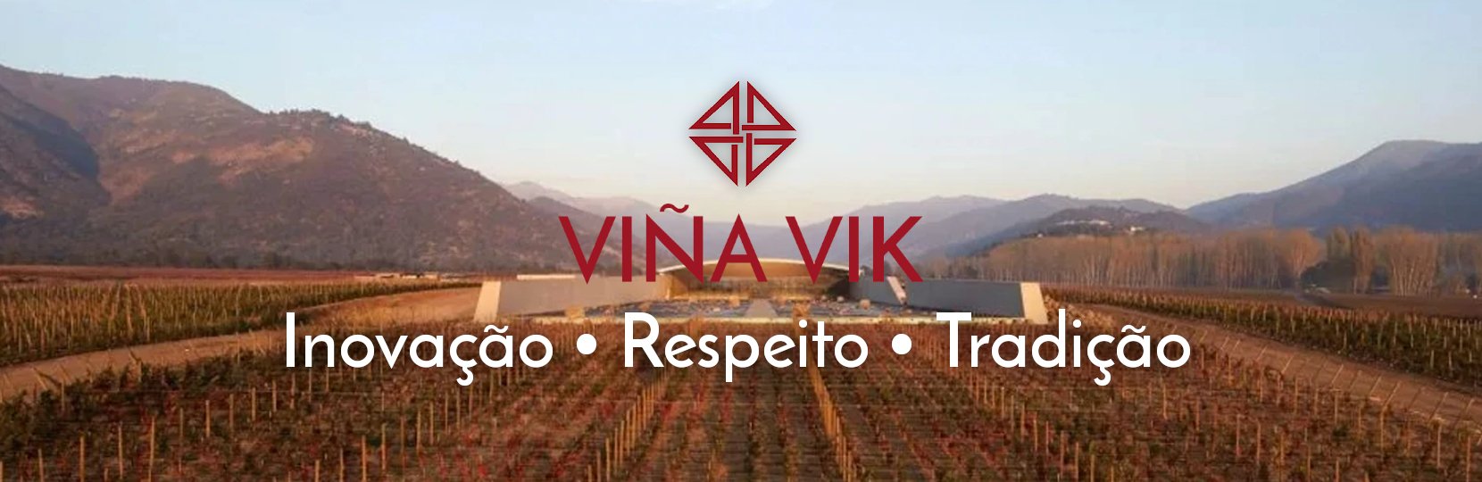 Domaine du Vin | Vinhos por quem entende de vinhos