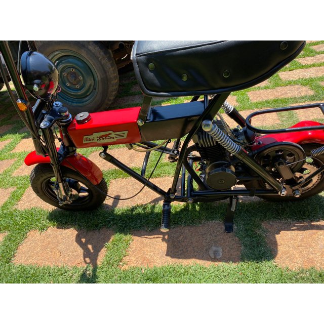 Mini Panther | Classificado Vintage riders