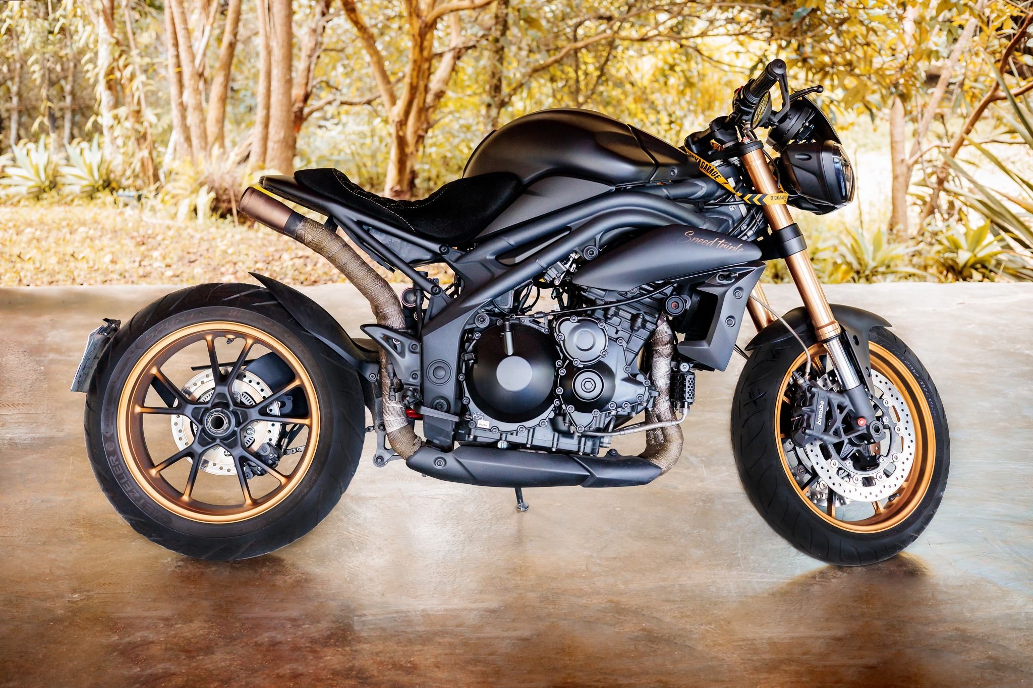 Triumph Speed Triple 1050 | Classificado Vintage riders