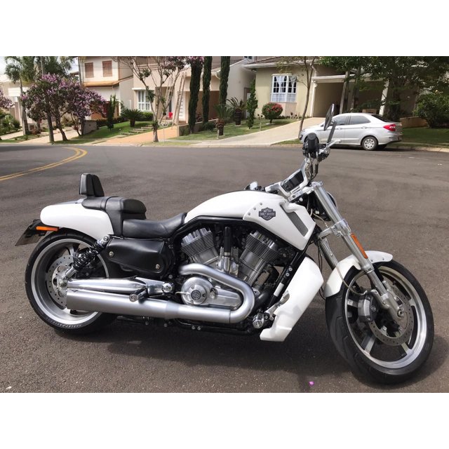 Harley Davidson V-Rod Muscle | Classificado Vintage riders