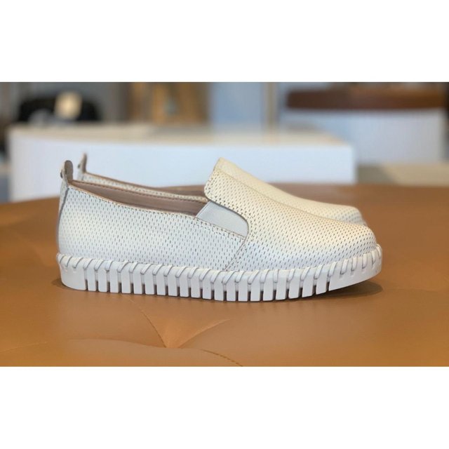 Tênis Bottero | Estilo F calçados