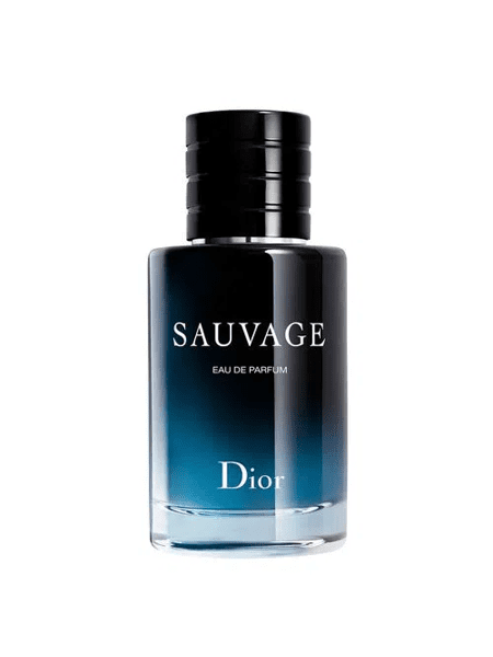 Dior Sauvage Edp 100ml Refilável Perfume Masculino | AR Importados CG