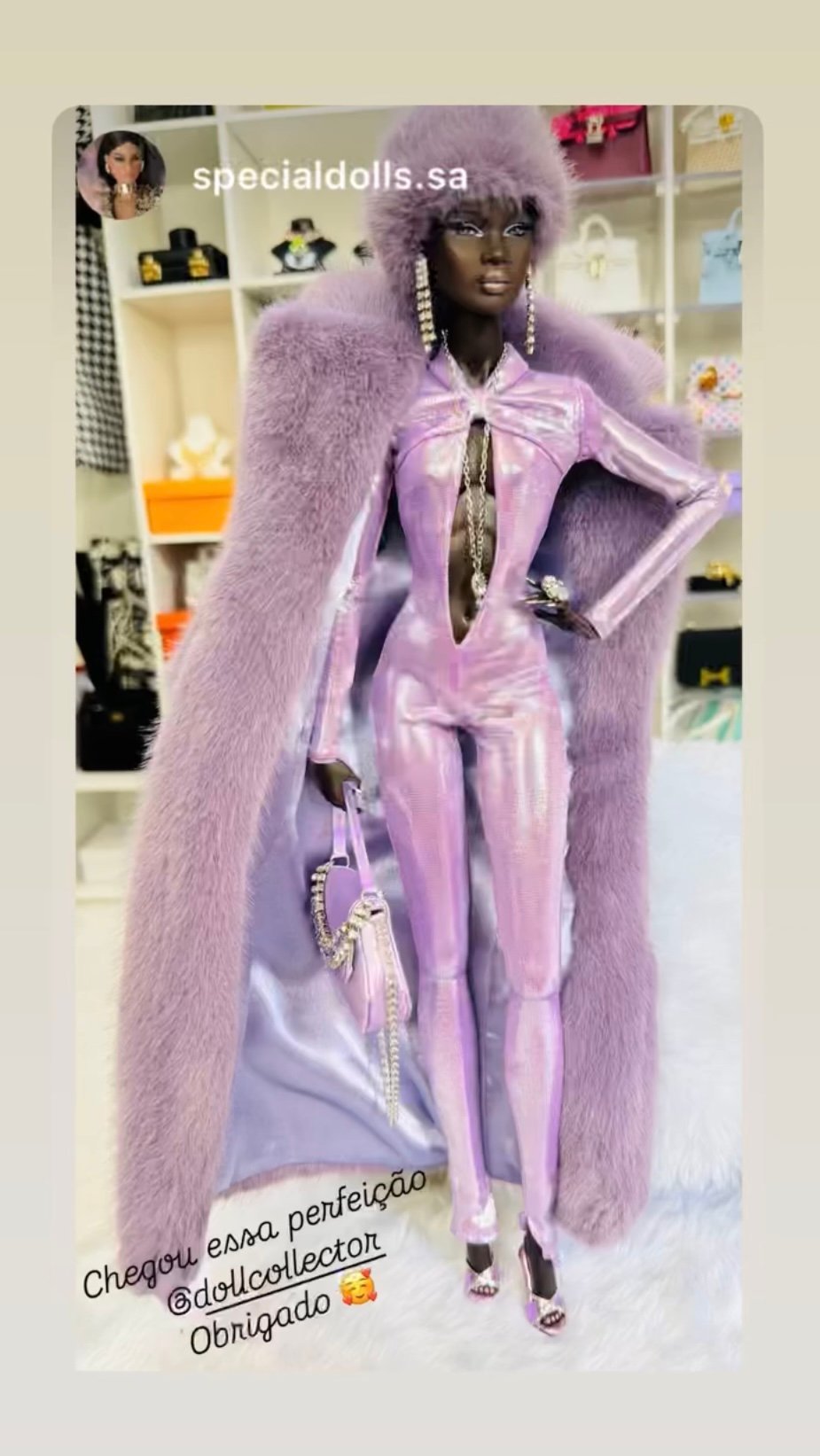 Doll Collector | A sua loja de bonecas colecionáveis!