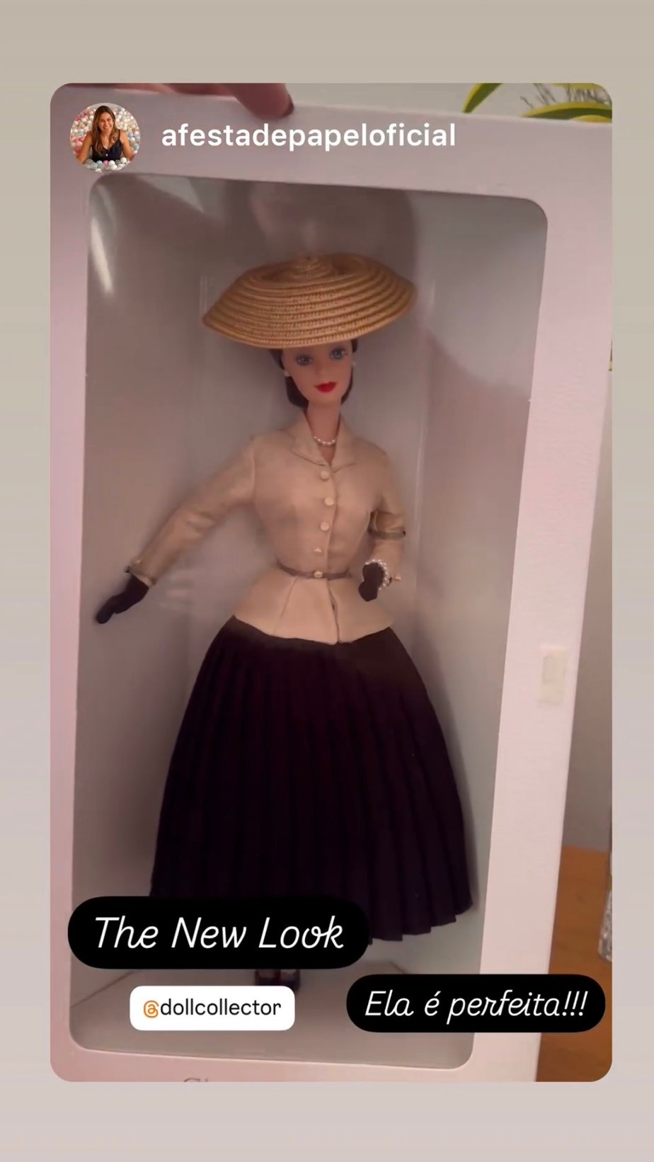 Doll Collector | A sua loja de bonecas colecionáveis!