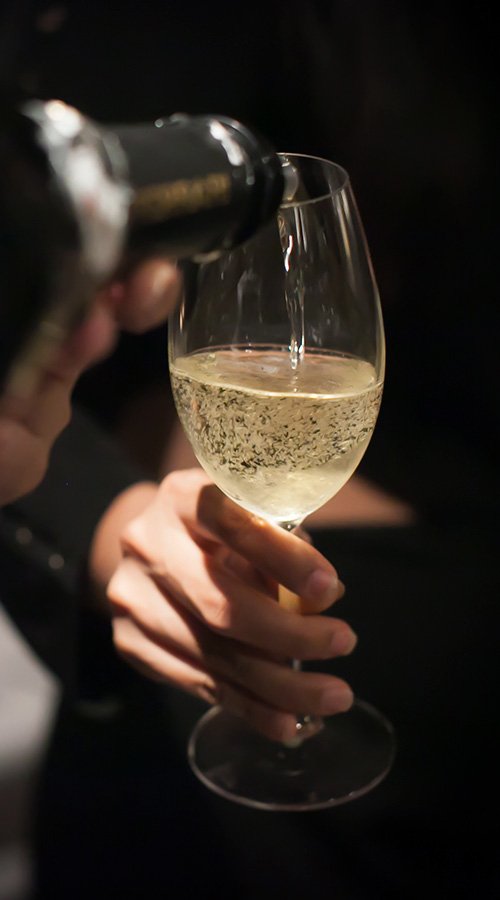 VM Vinhos | Wine Explorers