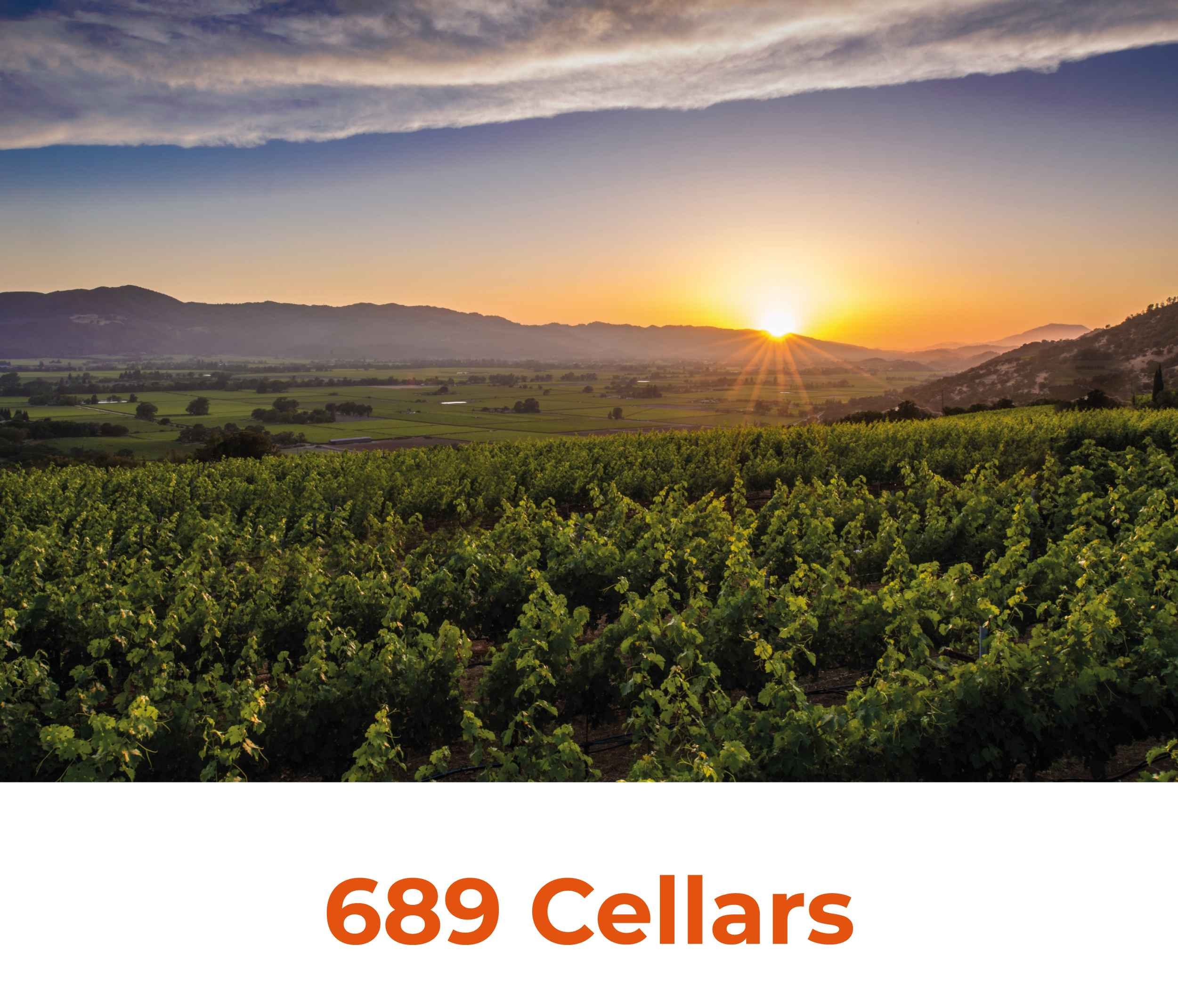 689 Cellars, Killer Drop Red 2020 | VM Vinhos