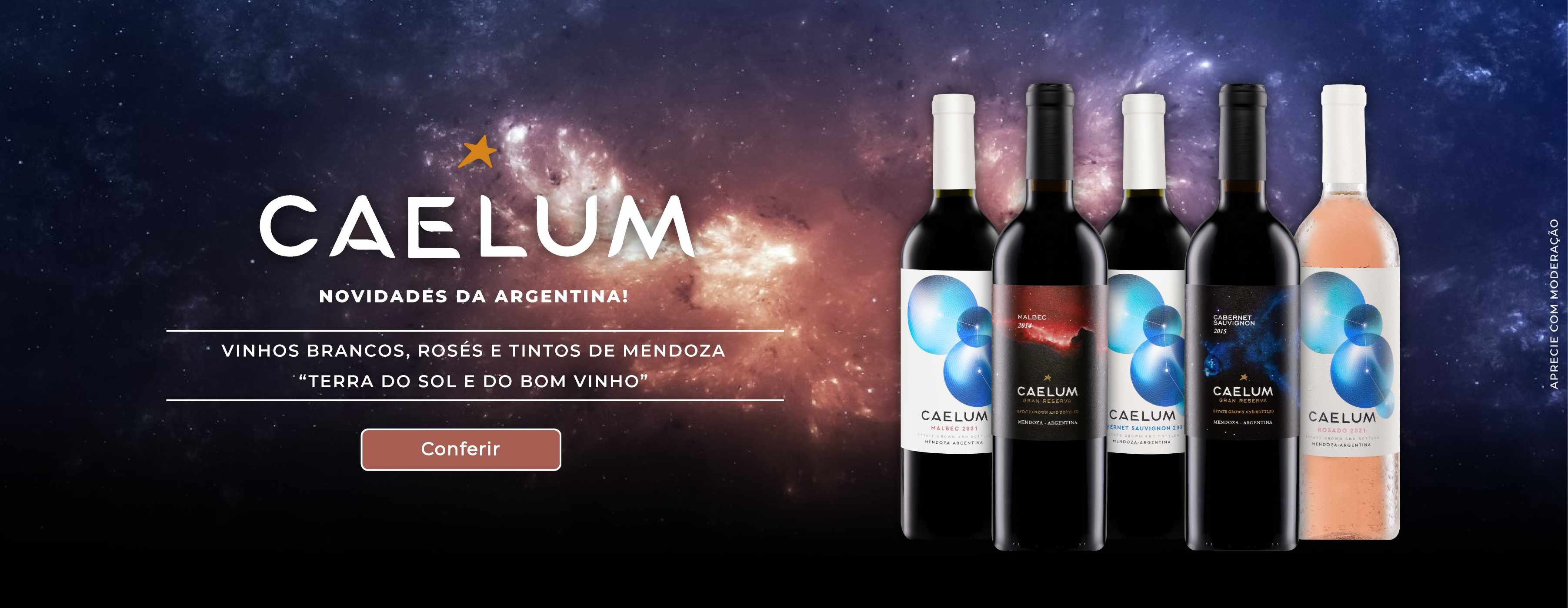 VM Vinhos | Wine Explorers