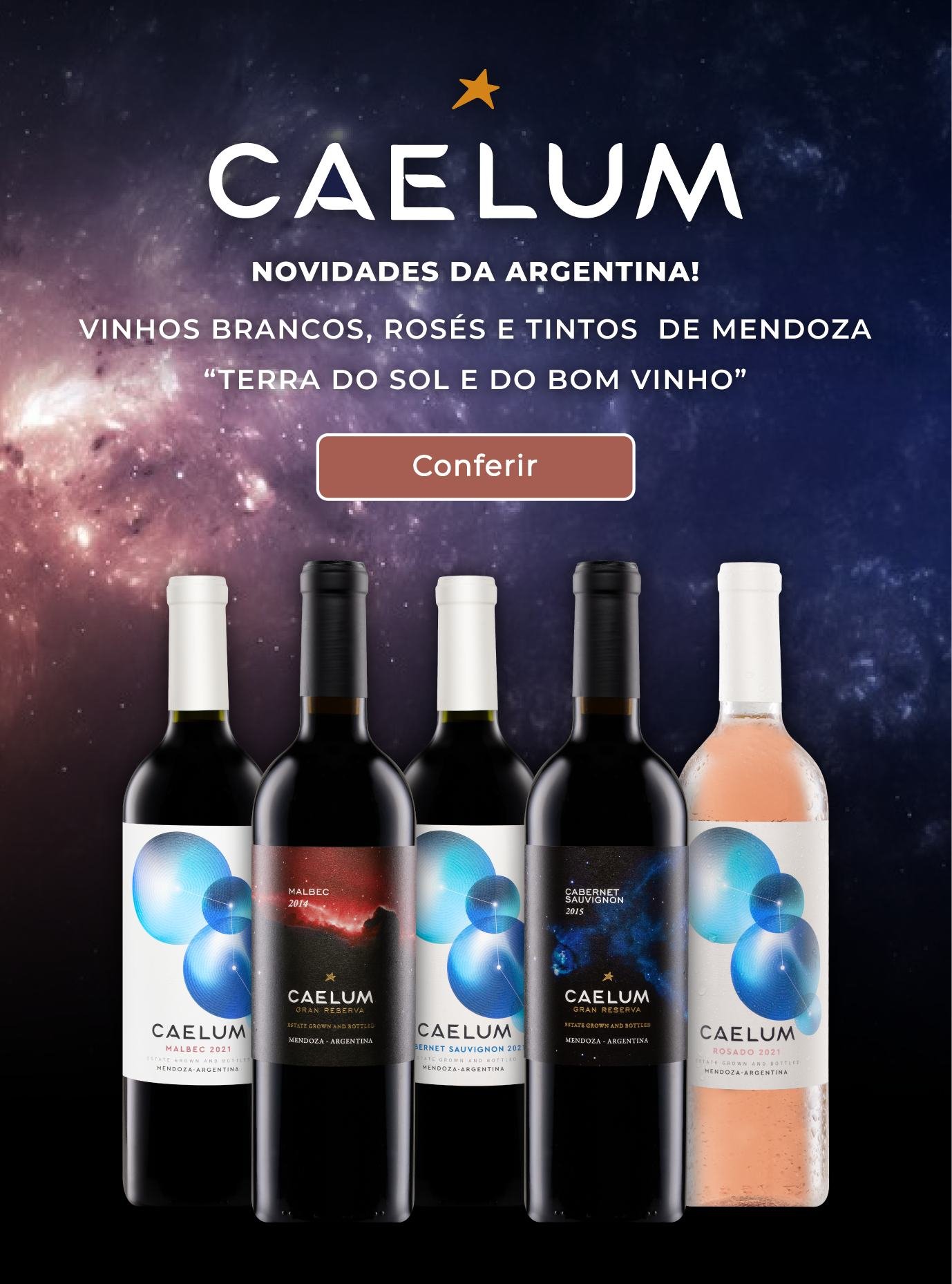 VM Vinhos | Wine Explorers