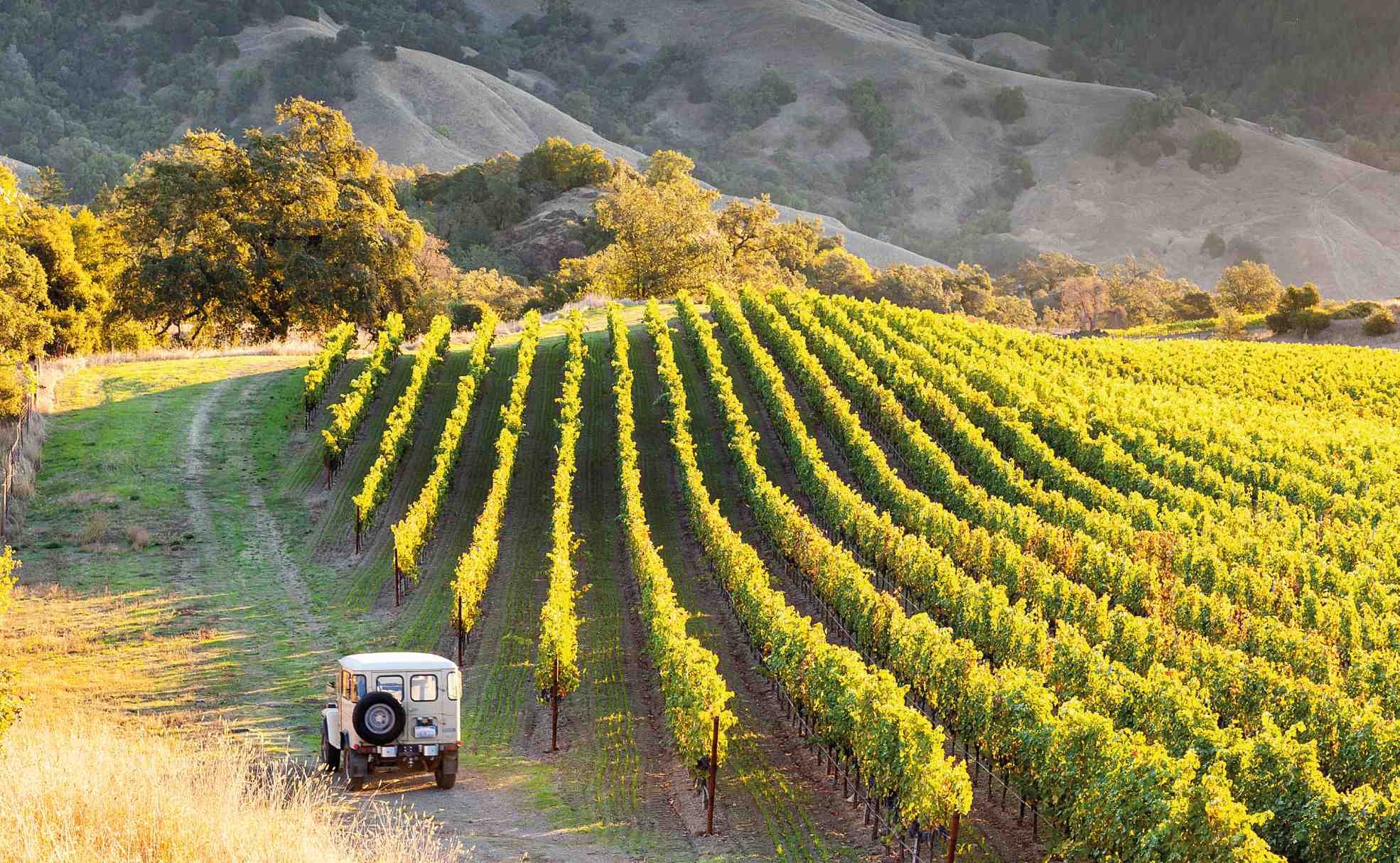 VM Vinhos | Wine Explorers