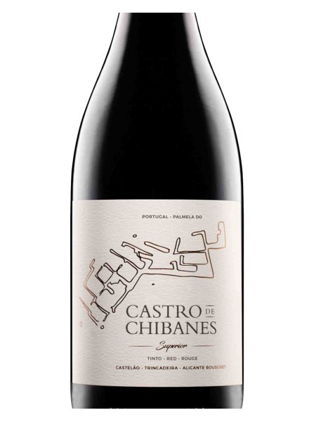 VM Vinhos | Wine Explorers