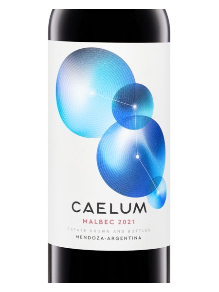 VM Vinhos | Wine Explorers