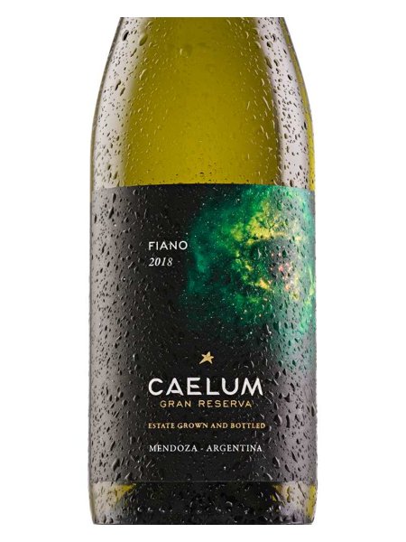 VM Vinhos | Wine Explorers