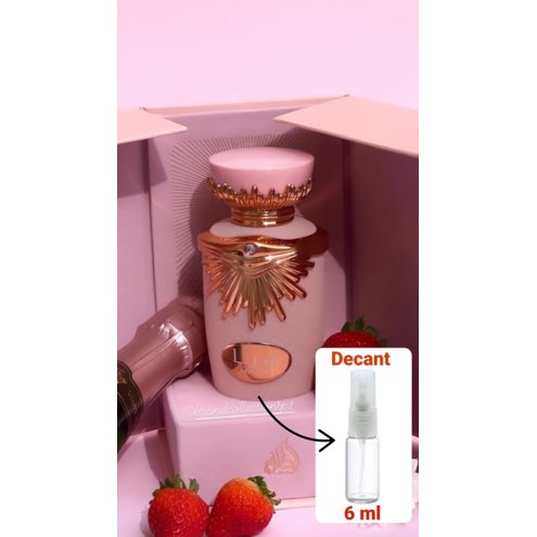 Decant / Fracionados | Brand Collection SP