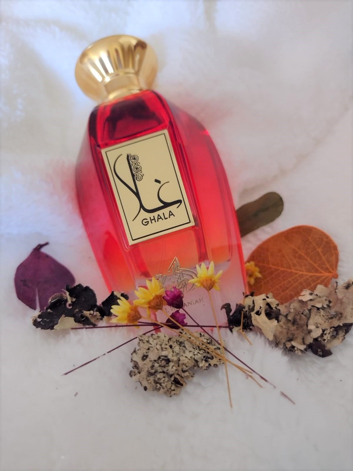 Ghala - Al Wataniah - 100 ml | Brand Collection SP