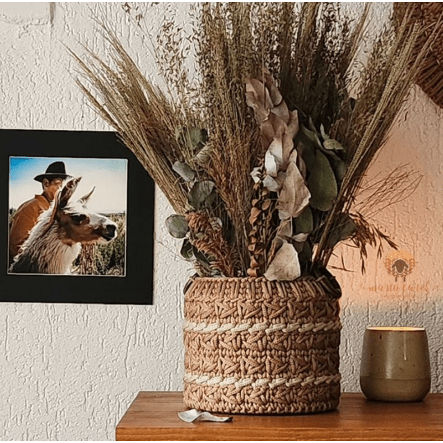 Kit - Cesto Condor (versão 1) | Vanessa Maio