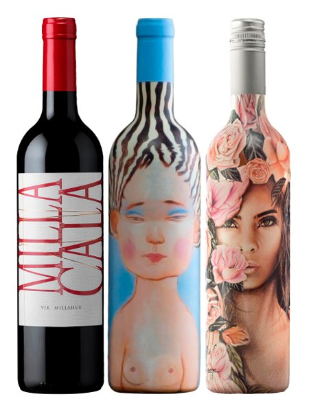 Kit Viña Vik - 03 Garrafas | comnéctar