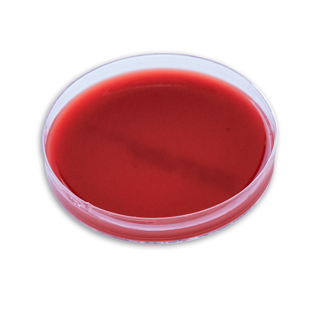Meio de Cultivo em Placa 15x90mm - Agar Sangue | Interjet | Insumos de ...