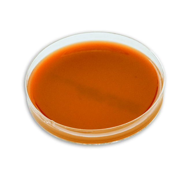 Meio de Cultivo em Placa 15x90mm - Vogel Johnson Agar | Interjet ...