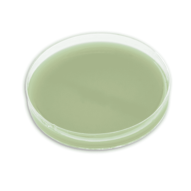 Meio de Cultivo em Placa 15x90mm - Cetrimida Agar | Interjet | Insumos ...