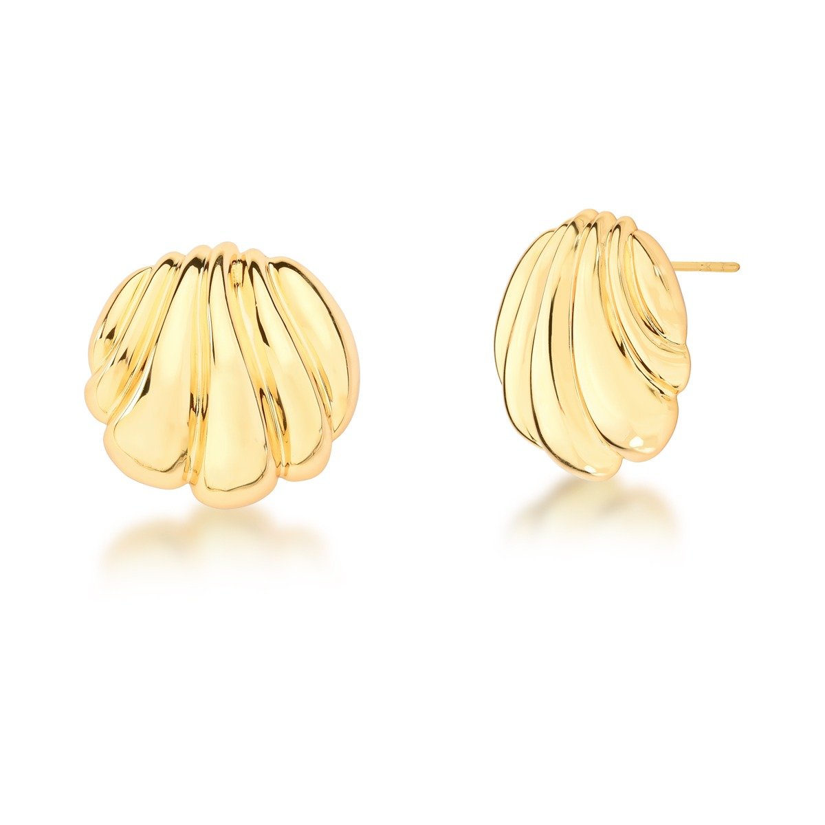 Brinco concha - G | Allenza Semijoias