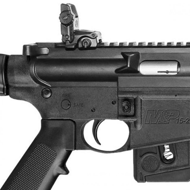 Rifle Smith & Wesson MP15-22 Sport 25 Tiros Calibre 22 | Nordens