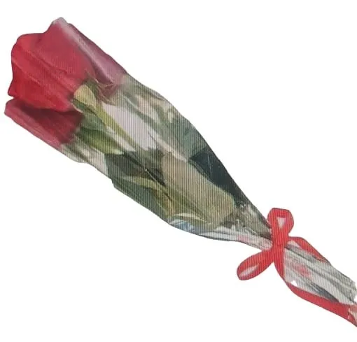 Uma Linda Rosa Embalada Para Presente | Elis Flores e Presentes Ltda