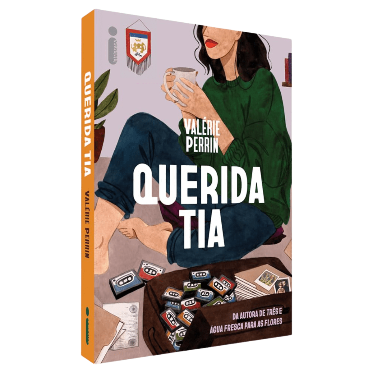 Querida Tia - Valérie Perrin - Da Autora de Três - Livro Físico | Livraria Enjoy