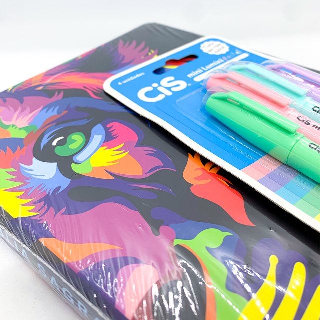 Bíblia Sagrada NVT Slim Lion Colors + Marca Texto Cis Mini Pastel 4 ...