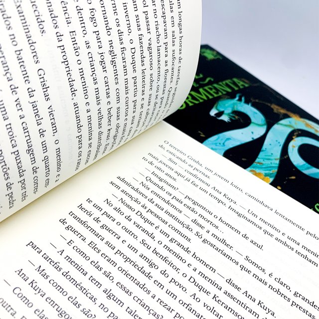 Sombra e Ossos + Sol e Tormenta - Leigh Bardugo - 2 Livros Físicos | Livraria Enjoy