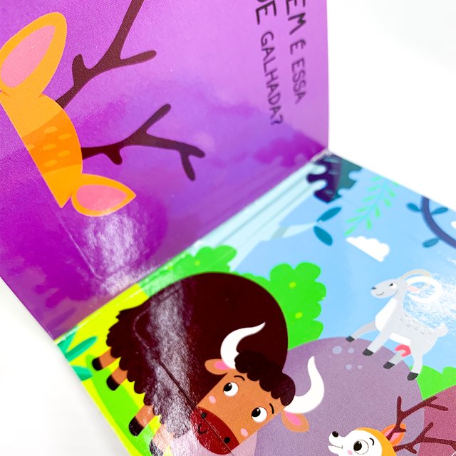 Abra e Descubra! - Quem é o Dono Disso? - Livro Infantil Ilustrado ...