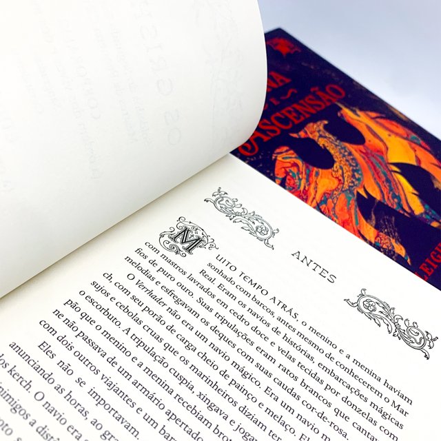 Sol e Tormenta + Ruína e Ascensão - Leigh Bardugo - 2 Livros Físicos ...