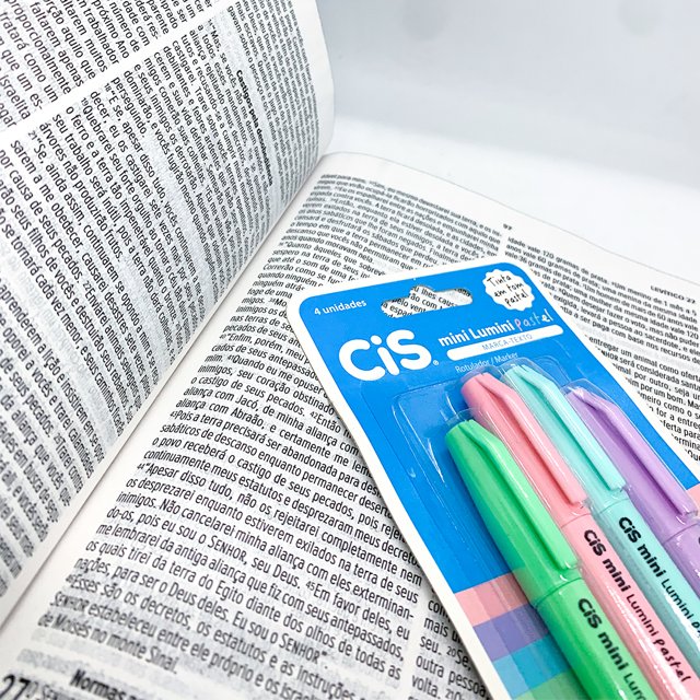 Bíblia Sagrada NVT Slim Lion Colors Cool + Marca Texto Cis Mini Pastel ...