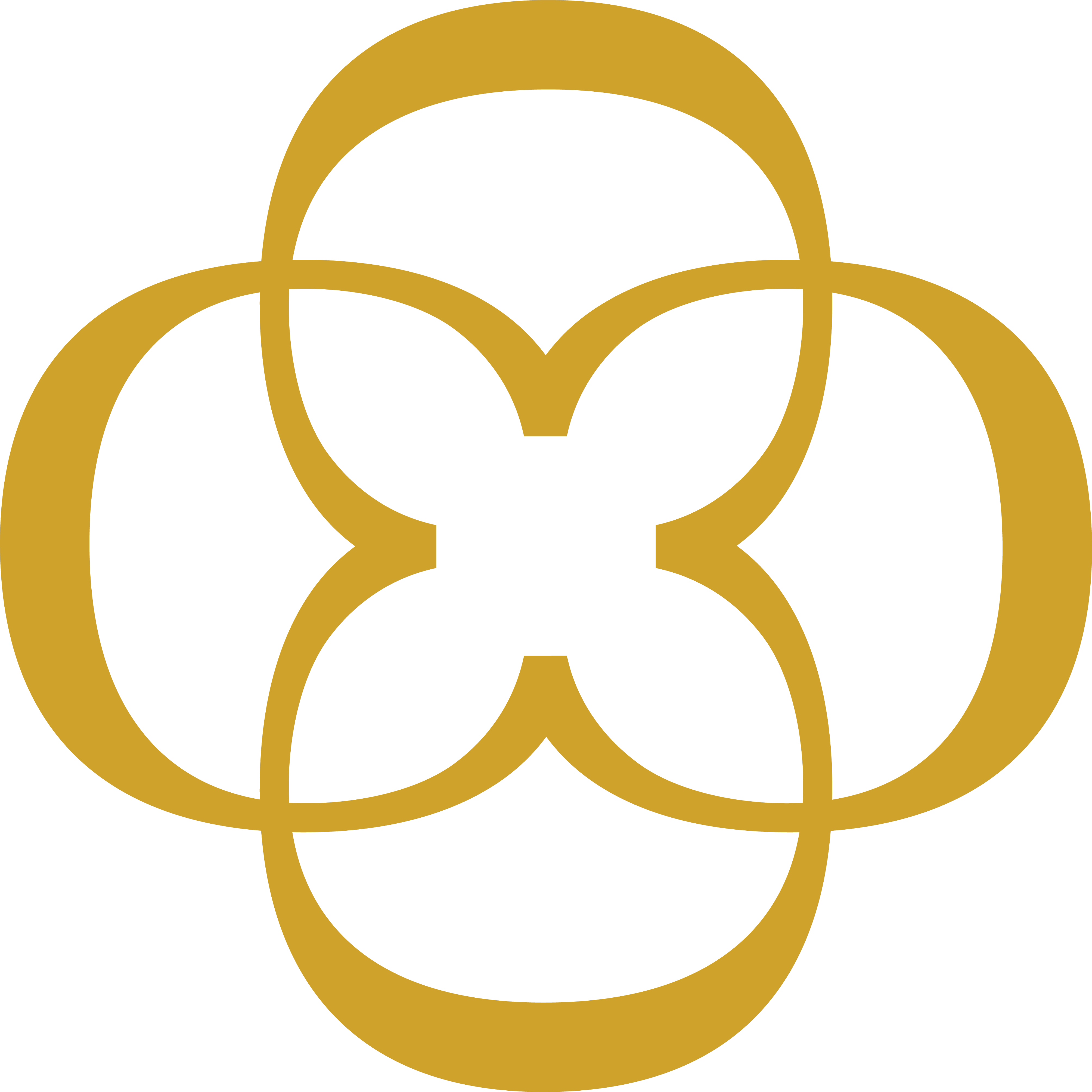 Choyer | Shampoo Pet, Condicionador Pet, Perfume Pet, Colônia Pet e ...