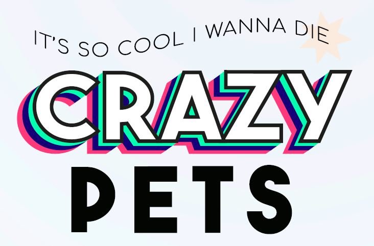 Pet tigela e alimentador | Crazy Pets