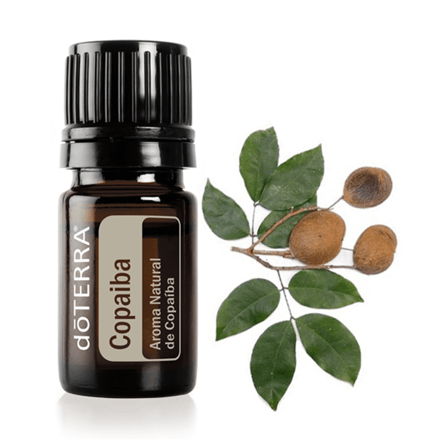 ÓLEO ESSENCIAL COPAIBA 5ML | Vila Smell